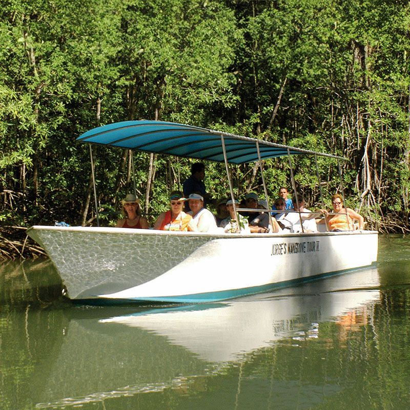 Damas Island Mangrove Boat Tour Manuel Antonio